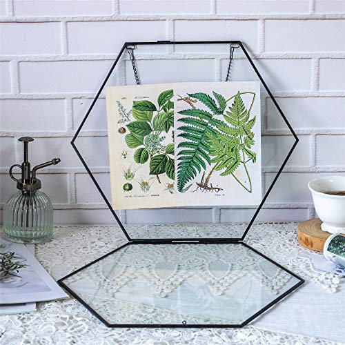 NCYP Side Length 6.8 inches Large Hanging Black Hexagon Herbarium Brass Glass Frame for Pressed Dried Flowers, Poster, Double Glass, Floating Frame Style, Glass Frame Only
