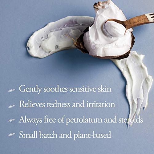 Wash with Water Plant Therapy Vegan Anti-Wrinkle Face & Body Butter Creamy Moisturizer with Enhanced Hydration and Antioxidant Support For All Skin Type, Petroleum Free, Steroid Free, 7oz, Unscented