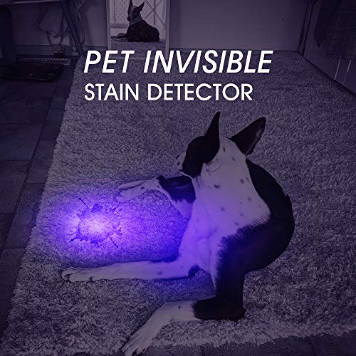 NEXTORCH 405nm uv Light UV Led Blacklight Flashlights Detector Ultraviolet Pocket-Size LED Torch for Pets Urine and Stains Find Stains on Carpet, Rugs 3D Printed Resin C2UV (405nm UV)
