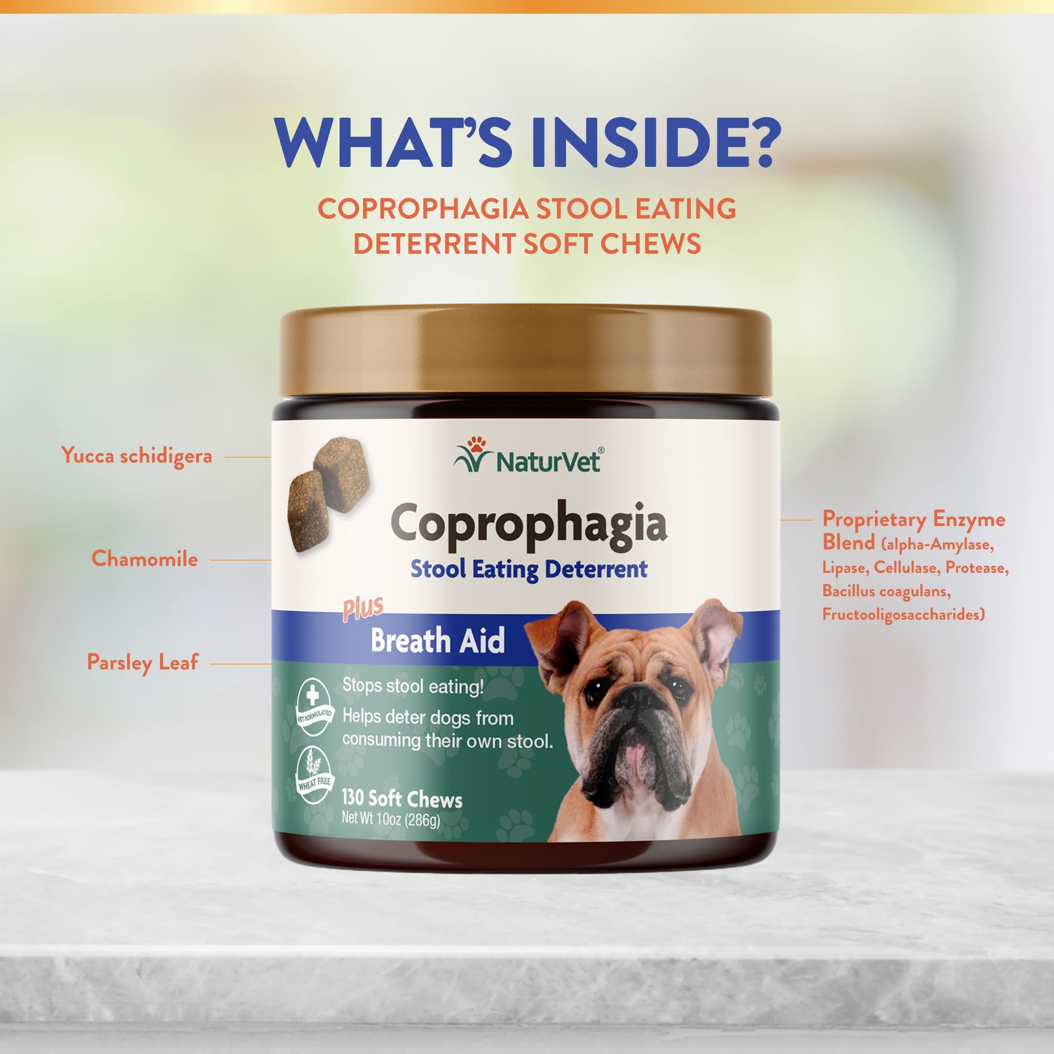 NaturVet β Coprophagia Stool Eating Deterrent β Deters Dogs from Consuming Stool β 130 Soft Chews & No Scoot for Dogs - 120 Soft Chews - Supports Healthy Anal Gland & Bowel Function