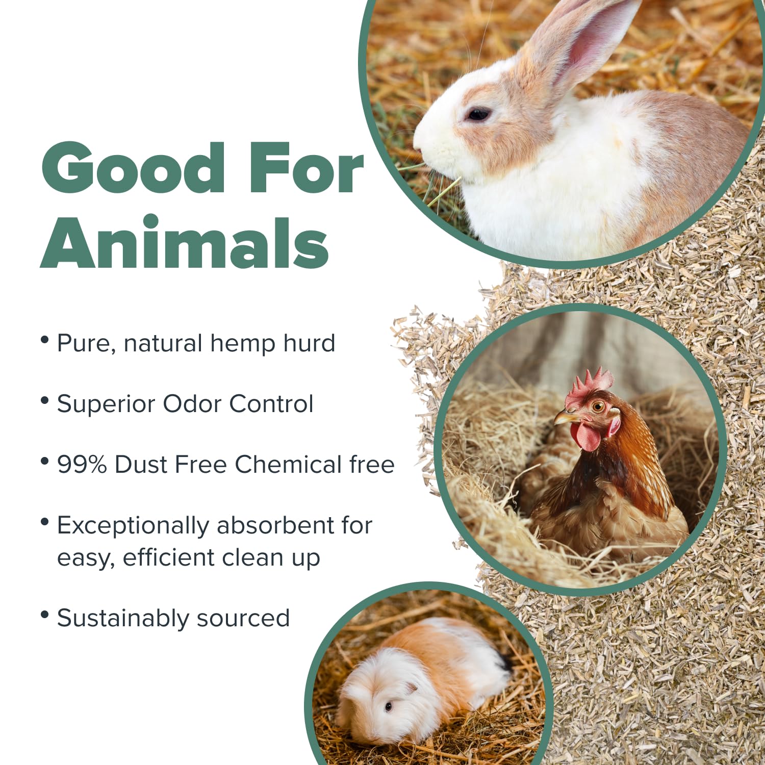 All Walks 18.5L 100% Natural Hemp Bedding - Odor Control, Dust-Free, Chemical-Free, for Chicken Coops, Hamsters, Rabbits & Small Animals, Biodegradable, Made in USA, Highly Absorbent