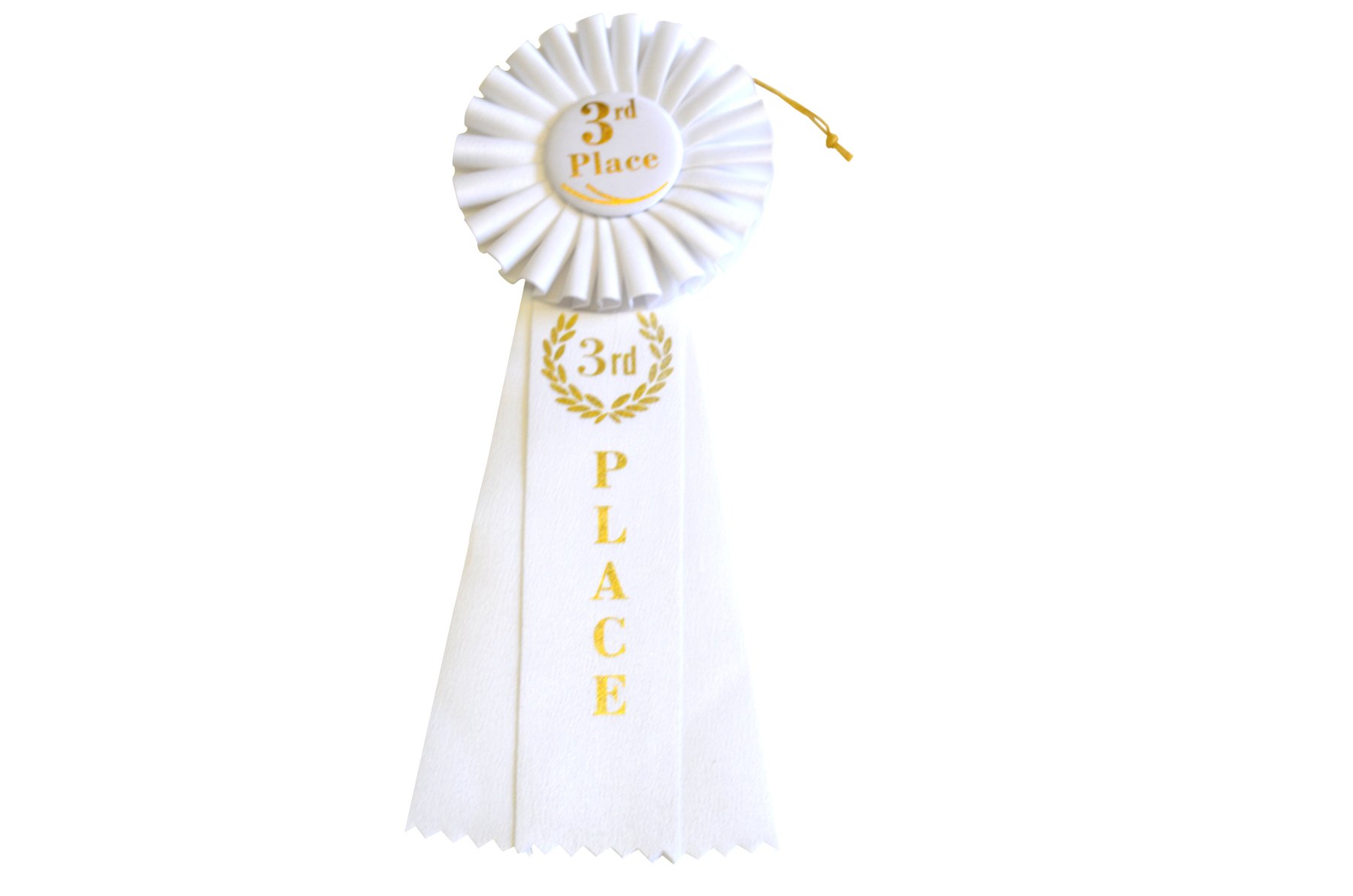 Hayes Specialties Corp. 3rd Place Rosette Ribbon
