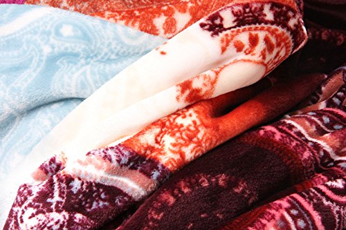 DaDa Bedding Flannel Faux Mink Fleece Throw Blanket - Bohemian Paisley Dreams Silky Soft - Bright Vibrant Floral - Multi Colorful Red Burgundy & Blue - 66" x 90"