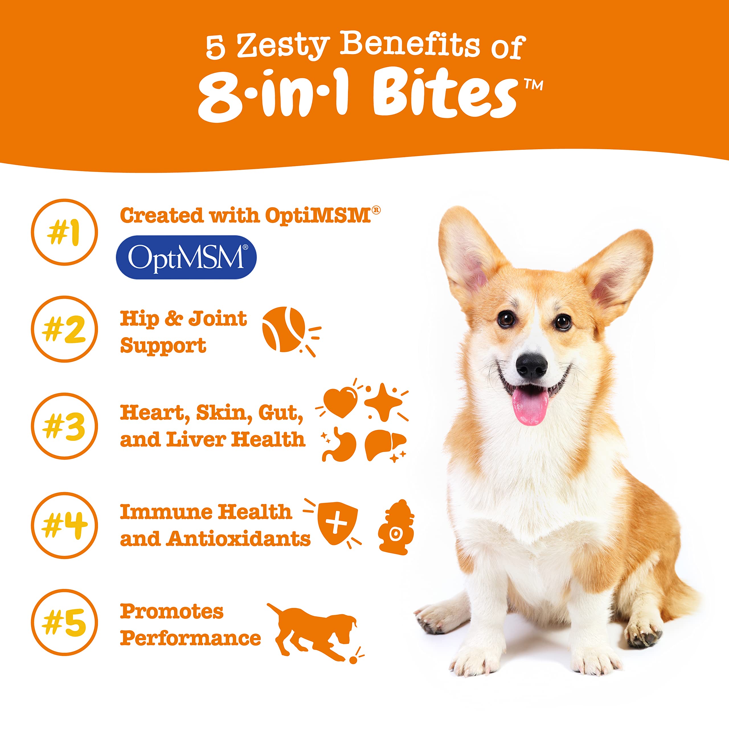Ancient Elements Probiotics for Dogs - Chewable Dog Probiotic Supplement + Multifunctional Supplements for Dogs - Glucosamine Chondroitin for Joint Support