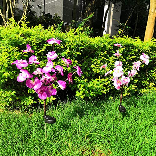 Asixxsix Solar Pathway Light, 2Pcs/Set Elegant LED Garden Light, Delicate for Wedding Festival Decor Outdoor Home Garden Courtyard Lawn Decoration