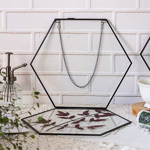 NCYP Medium Hanging Black Hexagon Herbarium Brass Glass Frame for Pressed Flowers, Dried Flowers, Poster, Double Glass, Side Length 5.8 inches Floating Frame, Glass Frame Only