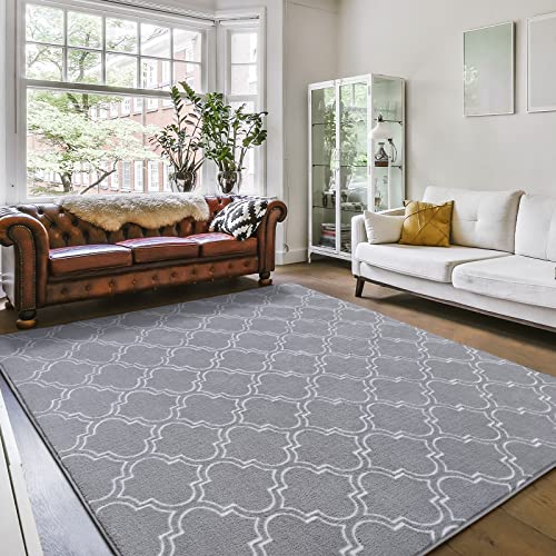 Amearea Fluffy Indoor Trellis Rug, Soft Shag Home Rugs for Bedroom, Shaggy Modern Area Rug for Living Room Kids Room Nursery, Easy Clean, Geometry Home Decor Low Pile Carpet, Light Grey 4x6 Feet