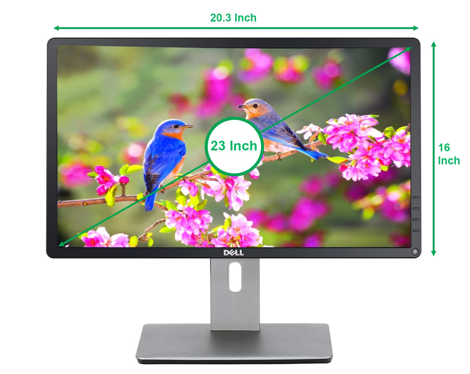 Dell P2314HT Monitor Full FHD 1920 x 1080, Display Port, VGA, DVI, 16.7 Million Colors, 8 ms Response time, 178 Degree Viewing Angle, 30-83 kHz Refrest Rate (Renewed)