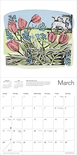 Angela Harding Wall Calendar 2024 (Art Calendar)