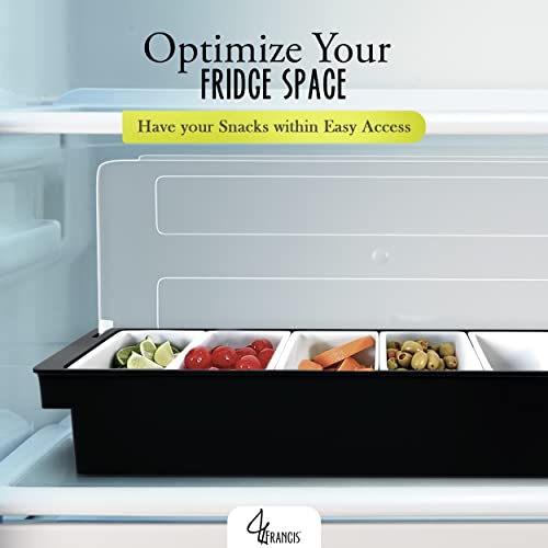 Ice Cooled Condiment Serving Container Chilled Garnish Tray Bar Caddy for Home Work or Restaurant