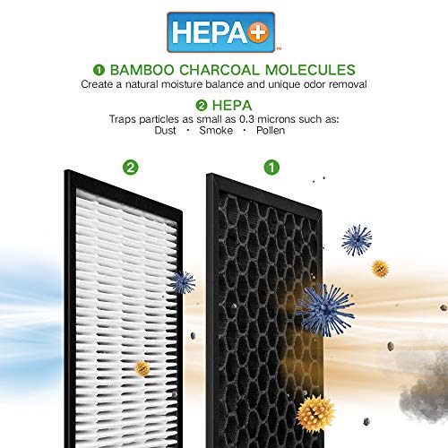 Hunter Air Purifier with Viro-Silver Pre-Filter and 2 in 1 HEPA Filter, Captures Allergens, Smoke, Odors, Mold, Dust, Germs, Pets, Mold, Smokers, Large and Medium Room Air Purifier (Large)