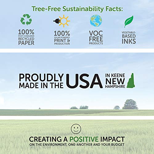Tree-Free Greetings 8 Pack Greeting Cards, 100% Recycled Paper, Eco-Friendly Cards, Made in the USA, Variety Pack with Matching Envelopes, 5”x7” in Artful Designs, multicolored (AGP1039)