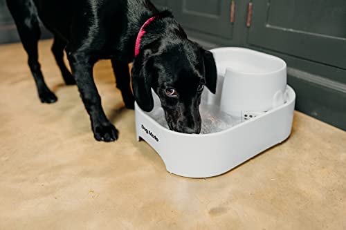 Dog Mate Large Fresh Water Drinking Fountain For Dogs And Cats