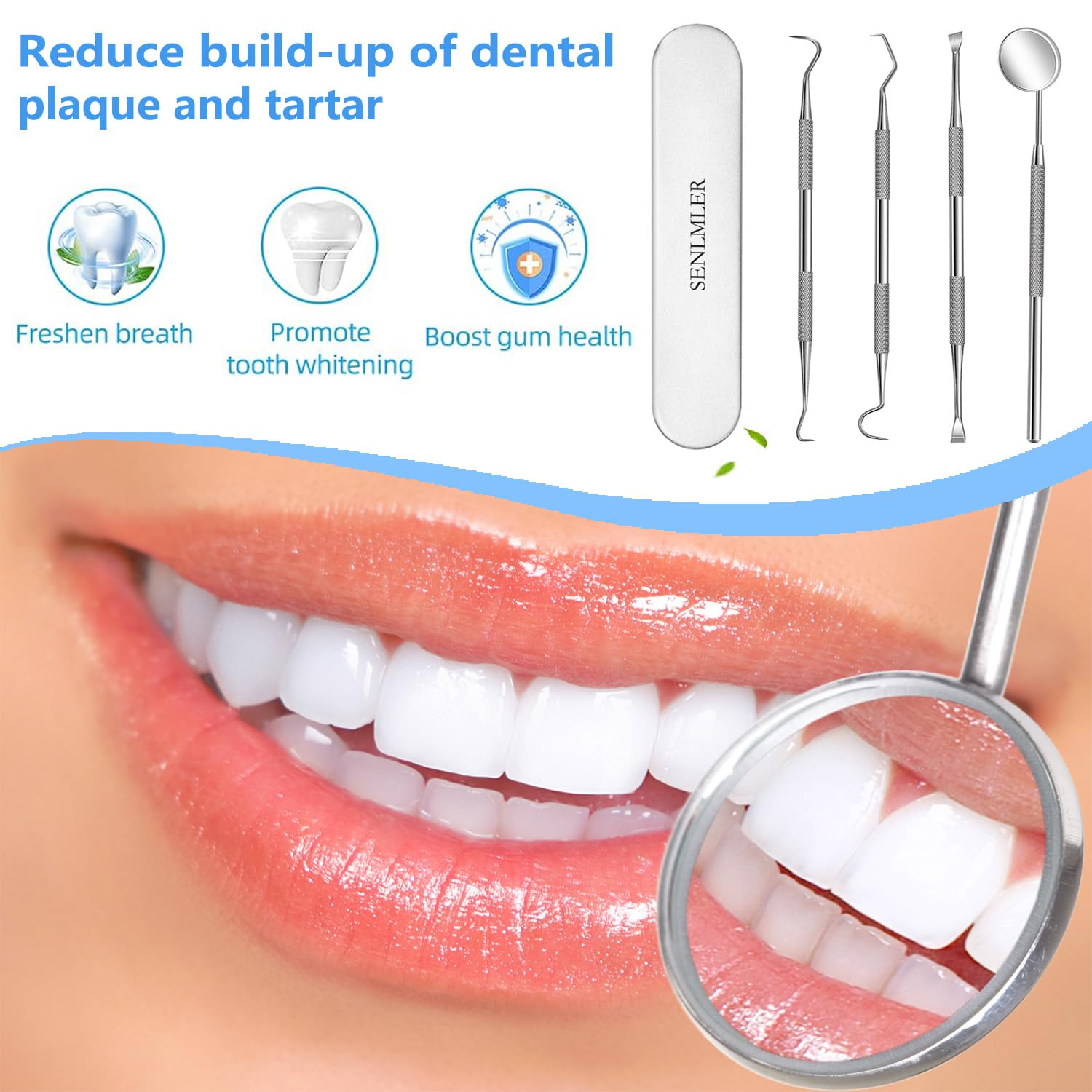 SENLMLER Dental Tools, Professional Plaque Remover Teeth Cleaning Tool Kit, Stainless Steel Dental Pick Tartar Scraper Tooth Cleaner, Oral Care Hygiene Set for Dentist Personal Pets with Storage Box