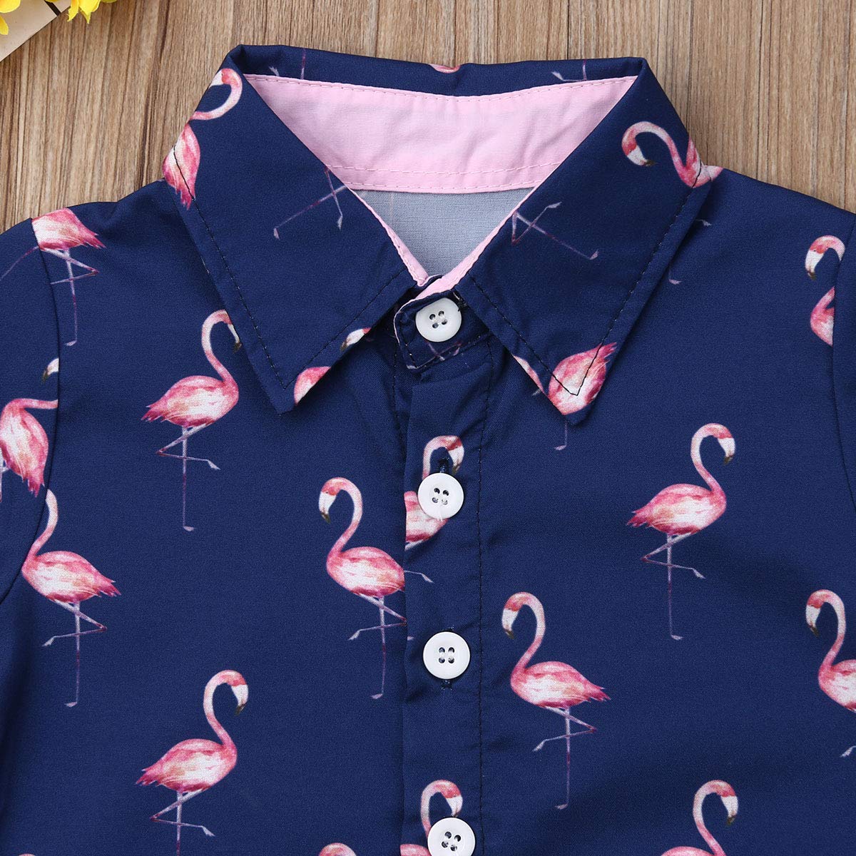 VISGOGO Toddler Baby Boy Flamingo Short Sleeve Button Down Shirt & Casual Shorts Set Summer Outfits 1-6 Years Clothes