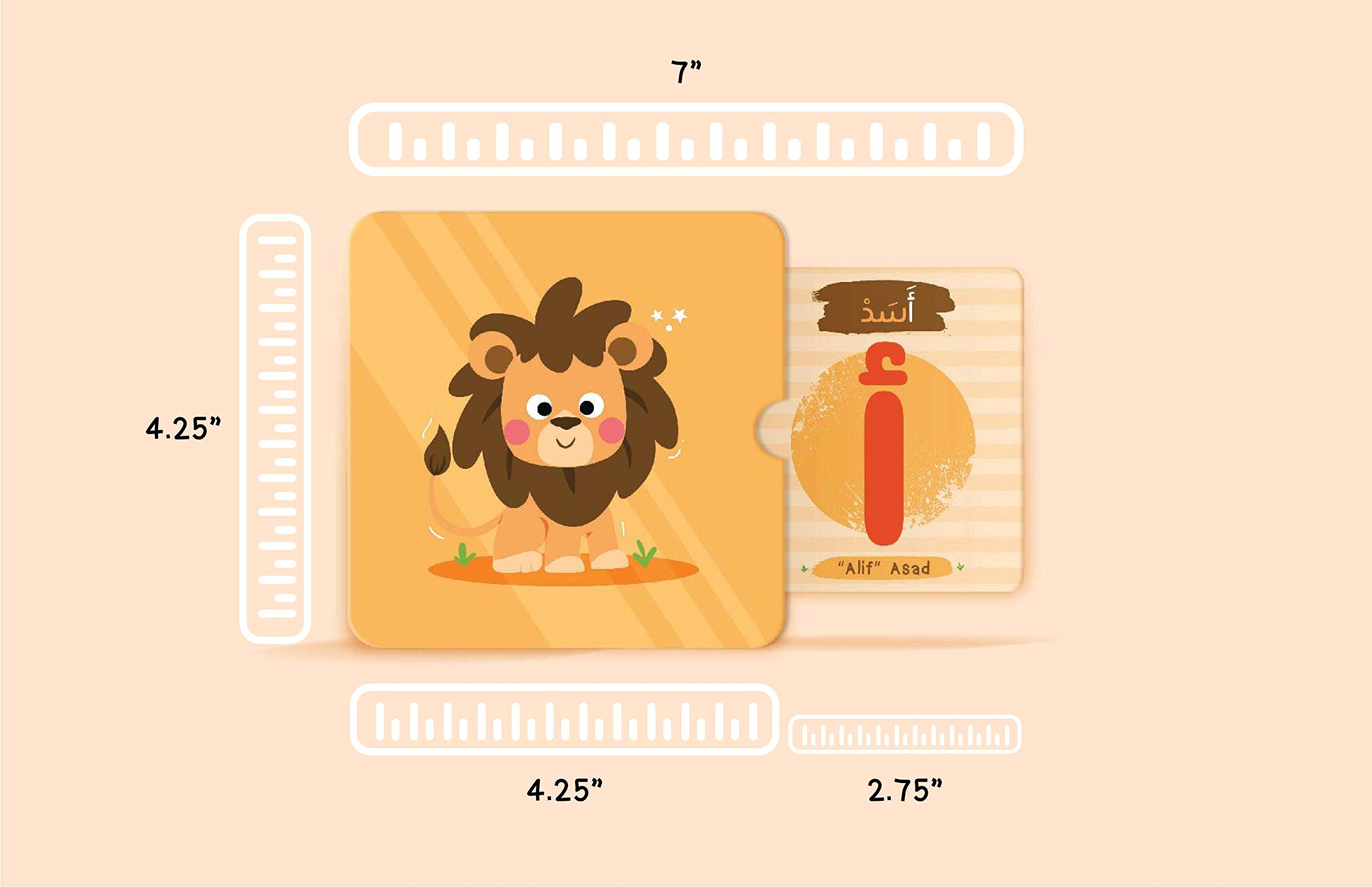 Bayt Orange Arabic Alphabet Interactive Flashcards