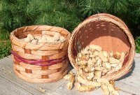 Double Peanut Amish Handmade Basket One Side Holds the Uncracked Peanuts Still in the Shell Other Side Holds Hulls Until Ready to Be Discarded in the Trash or Recycle Bin. Great Idea for Any Man Cave or Bar. Can Also Be Placed on the Coffee Table in Front