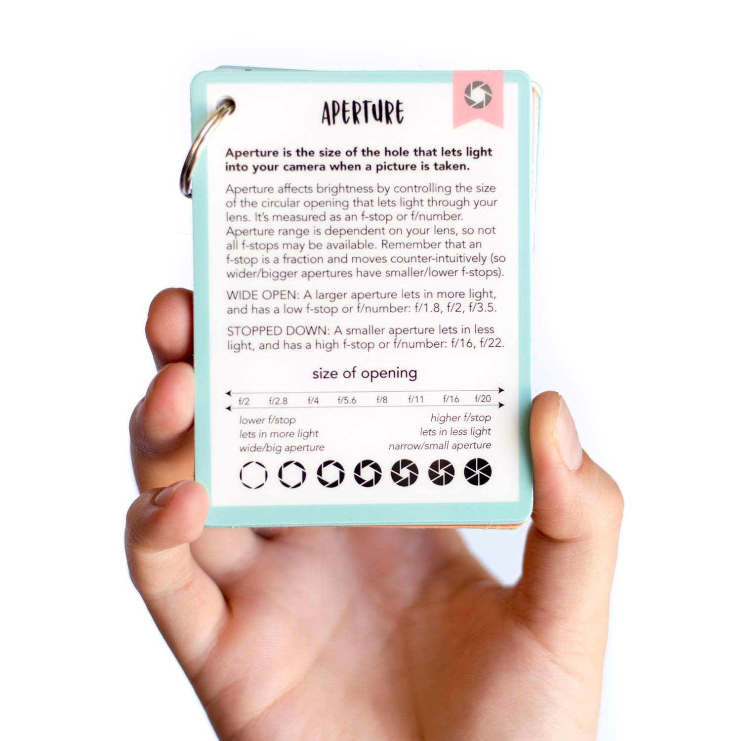 DSLR Cheat Sheet Cards for Canon, Nikon and Sony Cameras - Plastic Quick Reference Photography Cards | Camera Settings, Exposure & Manual Mode (Bright)