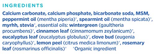 Essential Oxygen BR On-Demand Tooth Polish, Peppermint, White,2 Ounce (Pack of 2)