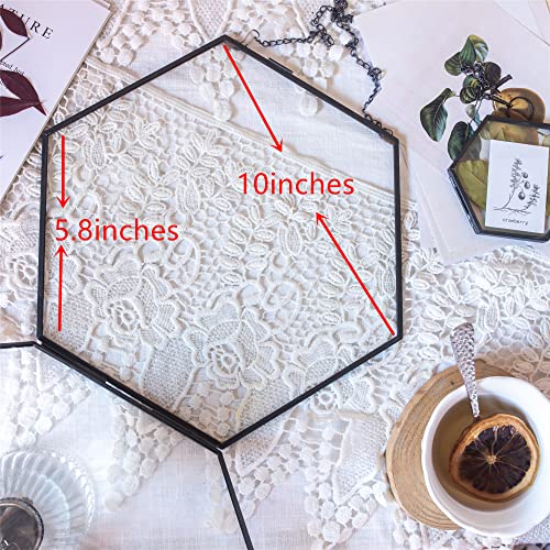 NCYP Medium Hanging Black Hexagon Herbarium Brass Glass Frame for Pressed Flowers, Dried Flowers, Poster, Double Glass, Side Length 5.8 inches Floating Frame, Glass Frame Only