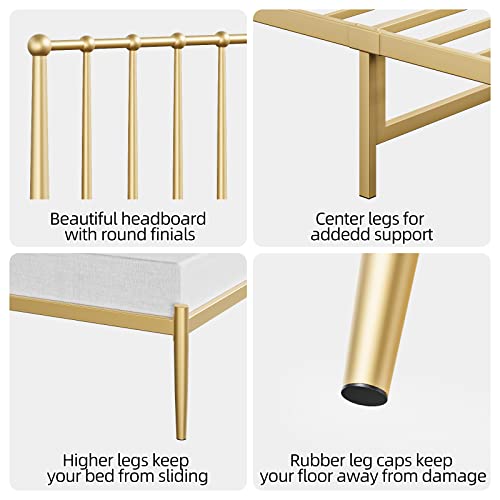 Amyove Queen Bed Frame Metal Platform Bed with Headboard, 14 Inches Metal Mattress Foundation for Storage, No Box Spring Needed, Easy Assembly, Modern, Gold