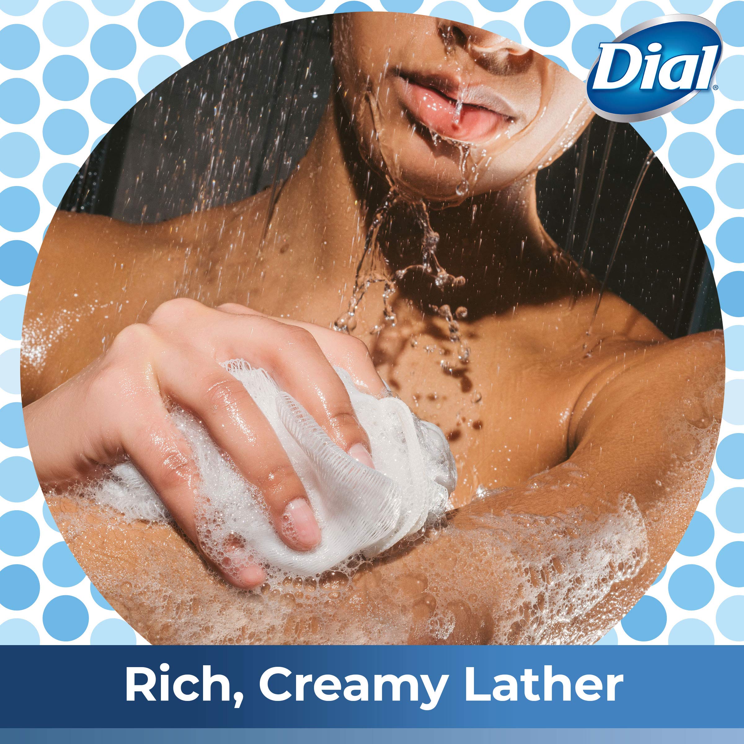 Dial Body Wash, Silk & Magnolia, 21 Ounces (Pack of 6)
