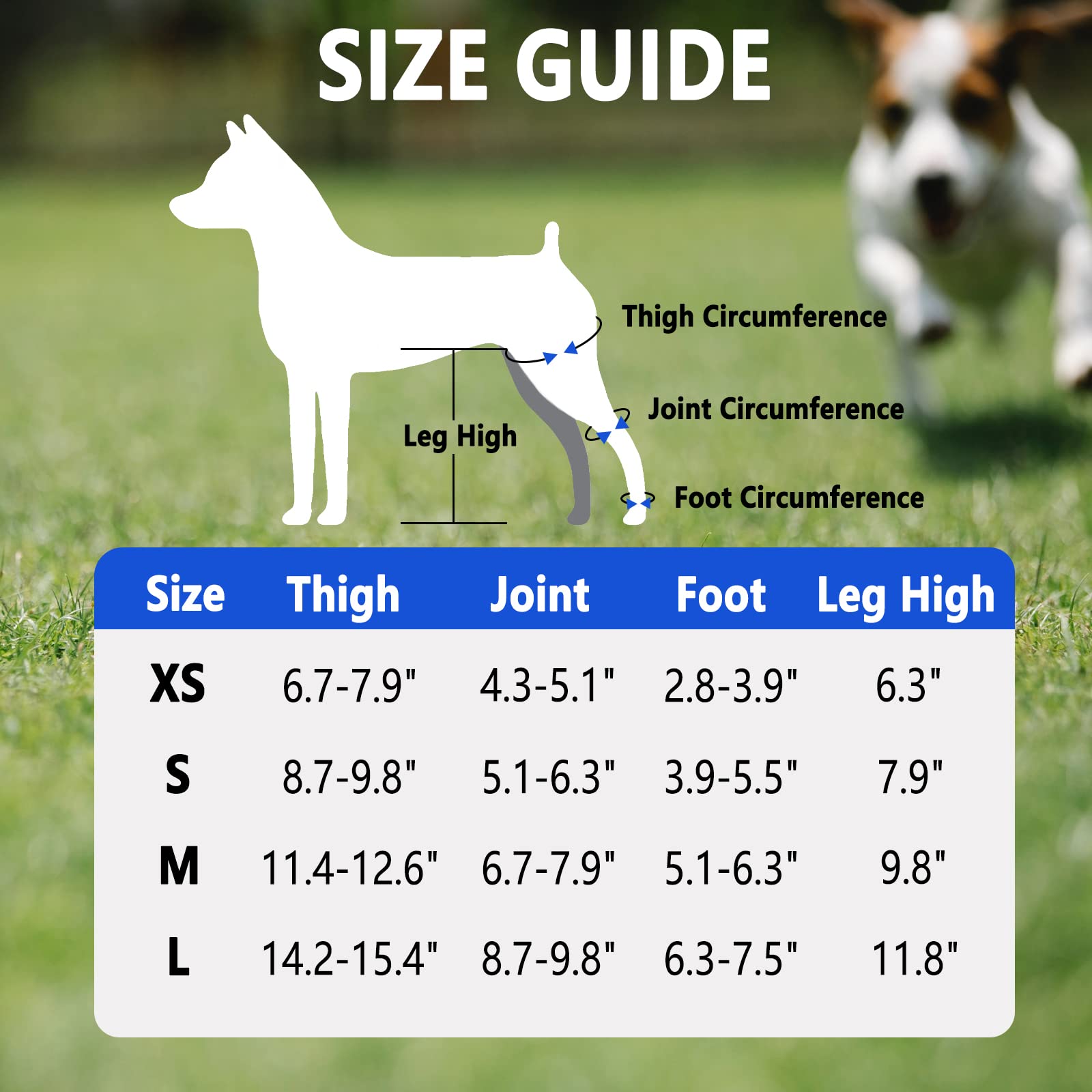MewMewLand Dog Knee Braces for Pain CCL, ACL, Arthritis, Extra Support, Dog ACL Brace Hind Legs with Metal Side Stabilizers, Black Medium