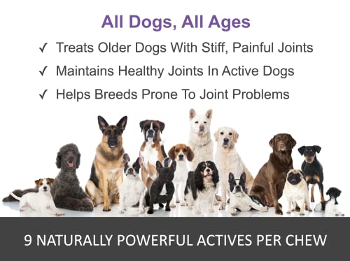 Joint Repair Advanced Hip & Joint Health Supplement for Dogs. Naturally Relieves Arthritis, Pain & Inflammation. Extra Strength Soft Chew Treats with Glucosamine, Chondroitin & MSM Improve Mobility