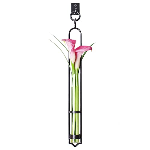 Couronne Co. Florence Hanging Pendant Tube Vase with Wall Hook, M044-001, 16.5 Inch Tall, 2.7 Ounce Capacity, Clear, 1 Piece