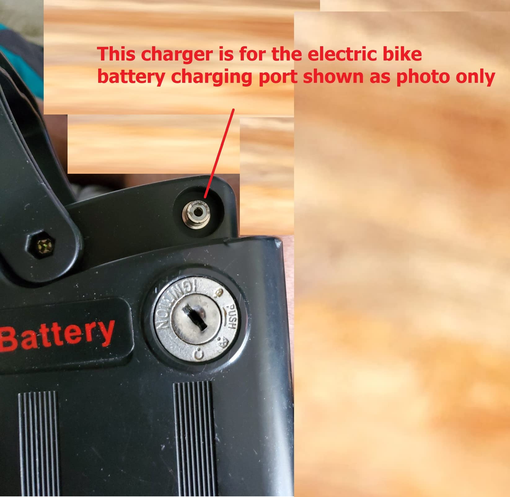WSLHFEO 26 inch 250W Cargo Electric Bicycle 36V Battery eBike L