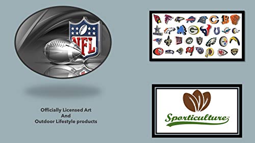 Sporticulture Dallas Cowboys 36 Inch Tall LED Torch Light-Emulates Flickering Flames-Auto On & Off Outdoor Waterproof Landscape Lighting Decoration-Security Light for Any Patio, Yard & Walkway