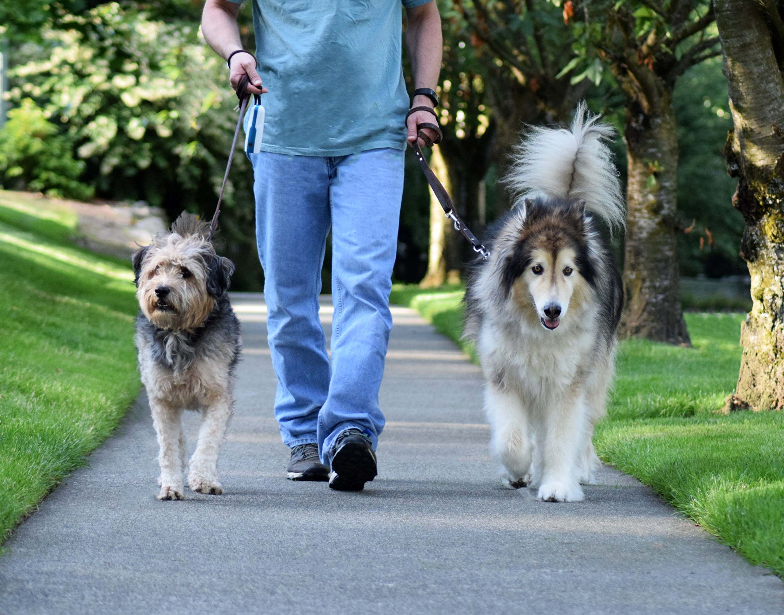 Doggie Don't Device- Handheld Sound Only Dog Training Corrector- Better and More Humane Than a Shock Collar- Stop Barking and Other Naughty Behaviors - Created by a Dog Lover in The USA
