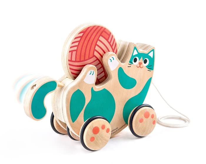 Hape Wooden Walk-A-Long Kitten Pull Toy| Roll & Rattle Push Pull Toy for Toddler| Montessori Toys for Walking Toddlers, Green