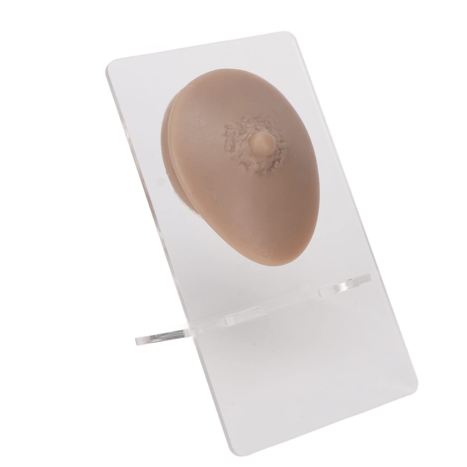 3D Nipple Model, Single Soft Silicone Elastic Simulation Reusable Model with Holder, Simulation Soft Flexible Nipple Display Props for Body Piercing Practice and Jewelry Display (Light Skin Colour)