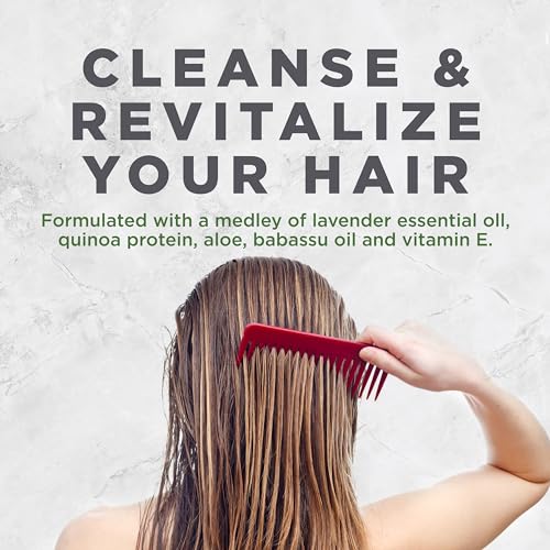 Avalon Organics Revitalizing Lavender Shampoo, For Smooth, Shiny, Touchably Soft Hair For Normal To Dry Hair, 32 Fluid Ounces