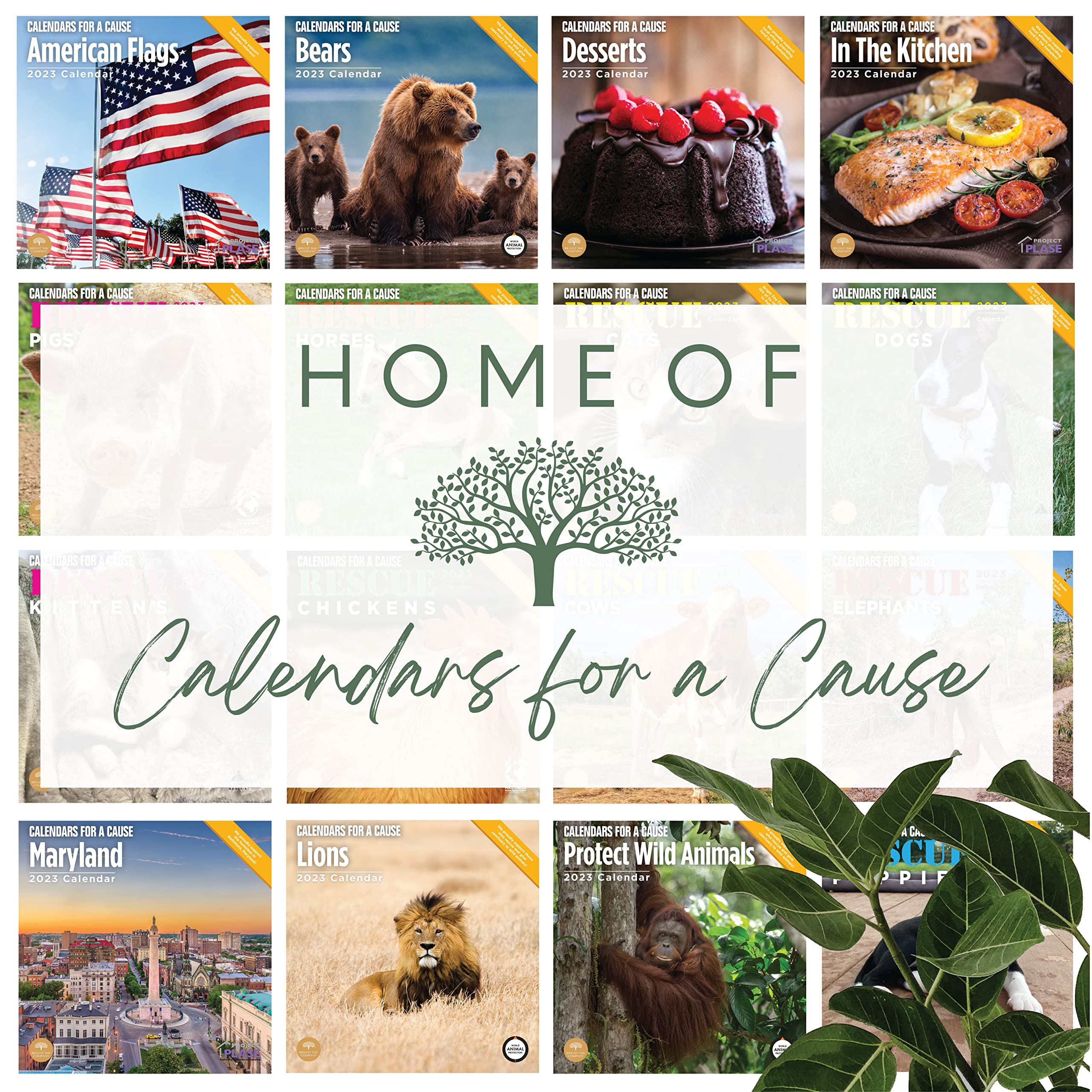 2023 Brittanys Wall Calendar by Bright Day, 12x12 Inch
