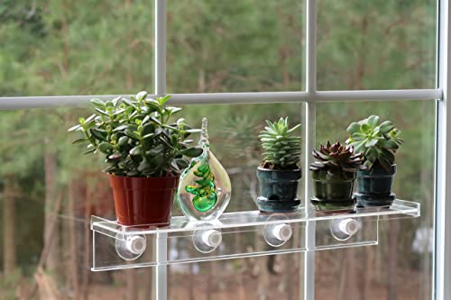 LaBrinx Designs Extra Large Suction Cup Shelf - Live Plants, Windows, and Bathrooms