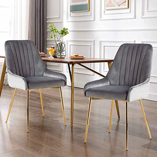 ANOUR Dining Chairs Set of 2, Modern Velvet Living Room Chairs, Kitchen Chairs with Gold Metal Legs, Upholstered Armless Chair for Kitchen Bedroom Vanity(Grey,2 Pack)
