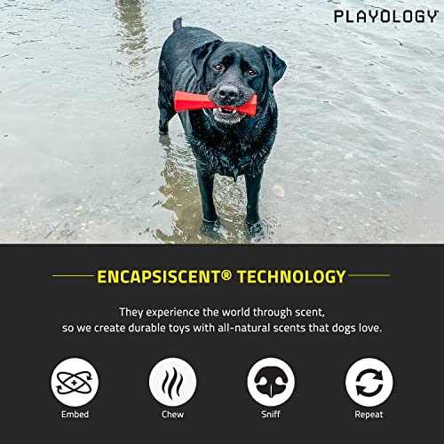Playology Squeaky Chew Stick Dog Toy, for Large Dogs (35lbs and Up) - for Moderate Chewers - Engaging All-Natural Beef Scented Toy - Non-Toxic Materials
