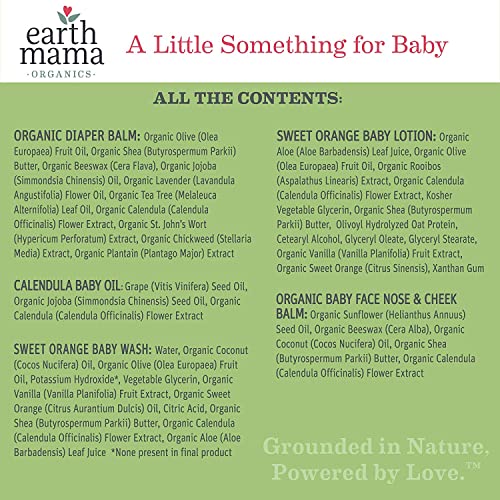 Earth Mama A Little Something for Baby Gift Set Safe Skin Care Essentials for Newborn Baby Shower, 5-Piece Set (Packaging May Vary)