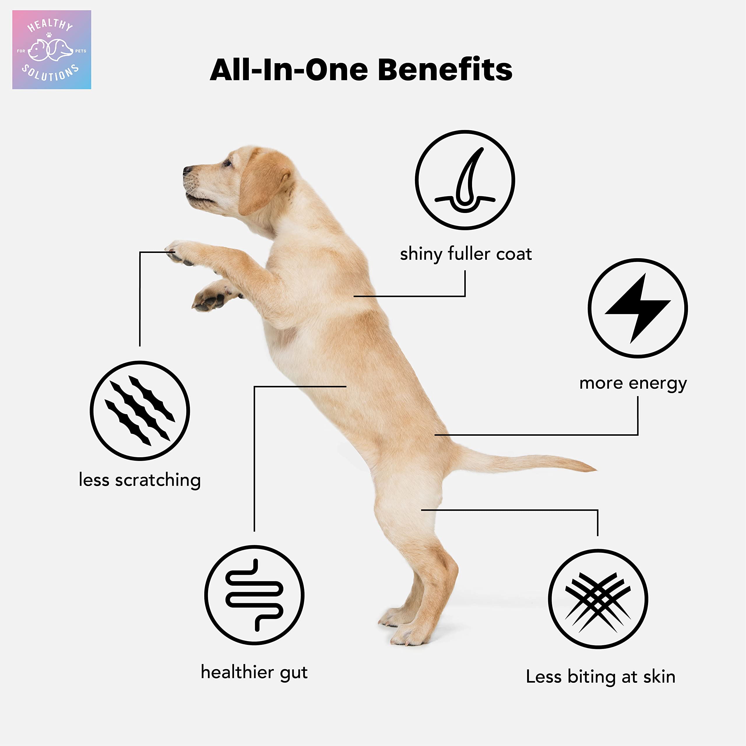 All-in-One Dog Vitamins & Supplements - Dog Multivitamin Supplement for Joint Support, Digestion, Skin, & Coat - Plus Omega-3, 6, 9 - Ultimate Daily Vitamin for Dogs - Made in USA, 60 Soft Chews