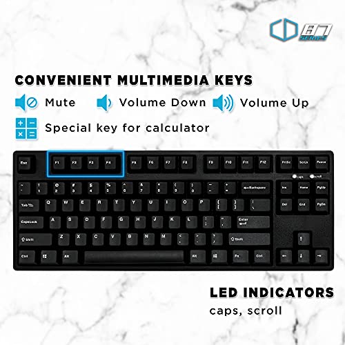 iKBC CD87 V2 Ergonomic Mechanical Keyboard with Cherry MX Black Switch for Windows and Mac, Tenkeyless Keyboard Upgraded with Mistel PBT Double Shot Keycaps for Desktop and Laptop, Solid Build Quality