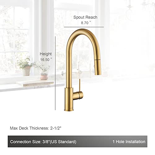 AguaStella AS60BG Brushed Gold Pull Down Kitchen Faucet and ASD52BG Brushed Gold Deck Plate Combination