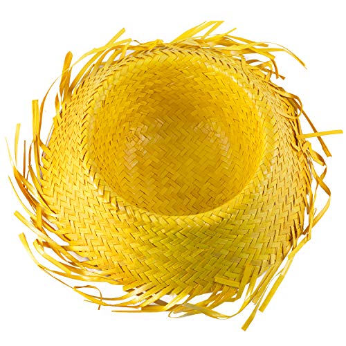 Funny Party Hats Beachcomber Hat – Hawaiian Luau Hat – Farmers Hat – Straw Costume Hat