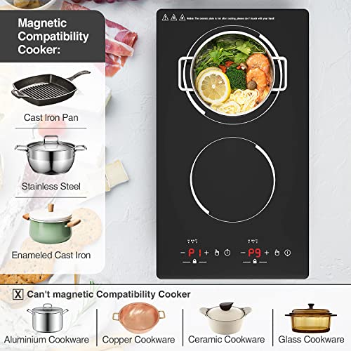 Double Induction Cooktop 2 Burners 12 inch Portable Countertop Burner and Built-in Cooktops 110v,with Sensor Touch Black Crystal LED Screen,9 Power Levels, Child Lock,120 Mins Timer