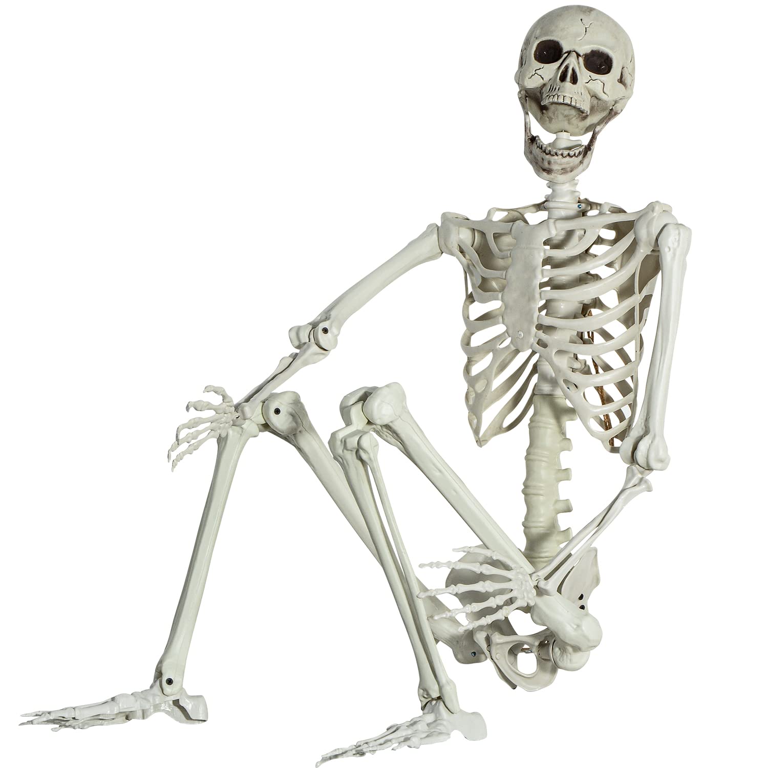5.4Ft/165cm Posable Halloween Skeleton, Full Body Life Size Skeleton with Movable Joints for Indoor Outdoor Halloween Decorations, Spooky Party Props Decor