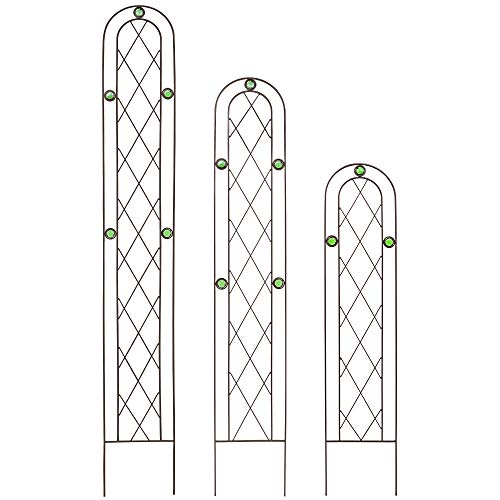 Arcadia Garden Products TR02 Arched Garden Trellis, 5' x 10", Black