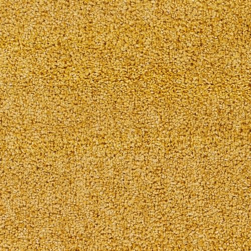 Mark&Day Area Rugs, 5x7 Vere Modern Shag Bright Orange Area Rug, Orange Carpet for Living Room, Bedroom or Kitchen (5'3" x 7'3")