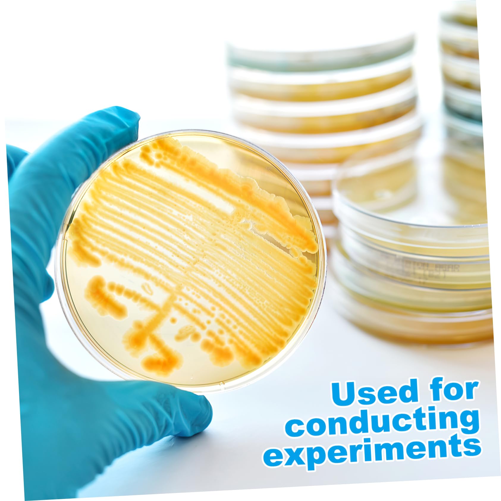 ULTECHNOVO Sciences Nutrient Agar Petri Dishes 10pcs Pre-Poured Agar Plates for Mushrooms, Home Test Kit, or for Science Fair Projects