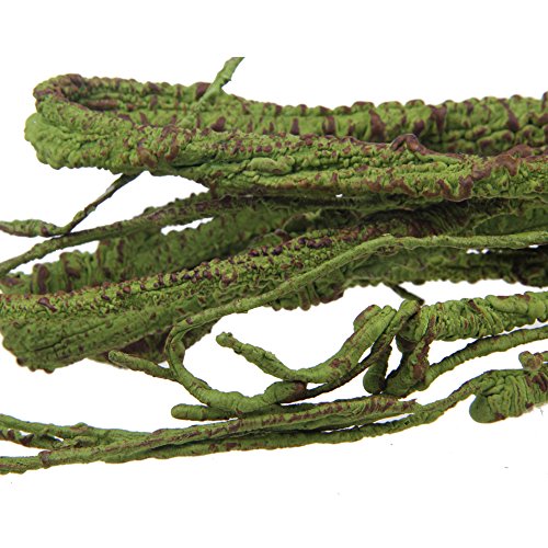emours Flexible Realistic Jungle Vines Pet Habitat Decor for Lizard,Frogs, Snakes,Chameleons and More Reptiles, 3.6ft Long